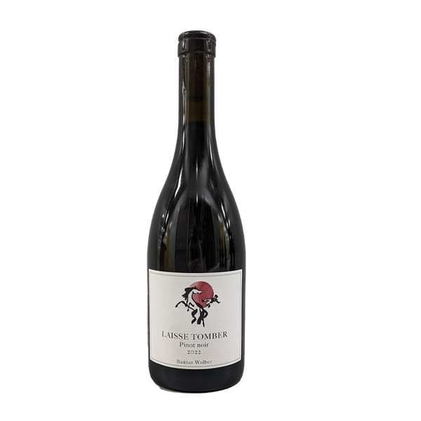 Pinot Noir Mercurey Côte Challonaise, Bastian Wolber 2022 – SipWines Shop